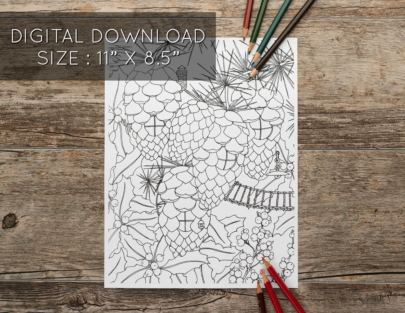 Pinecone Fairy Garden Coloring Page, Pine Cone Coloring Page, Winter ...