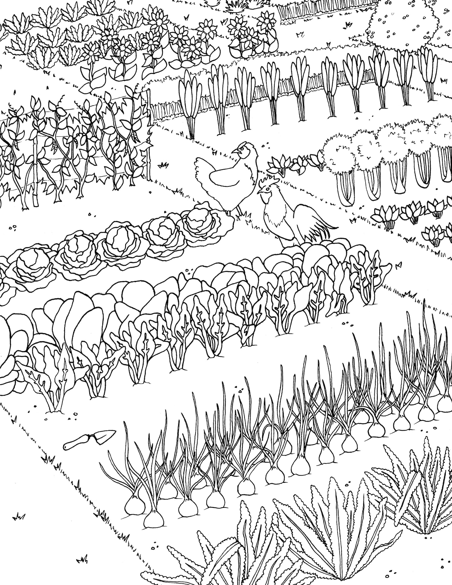 Chickens in the Garden Coloring Page, Gardening Coloring Page, Adult ...