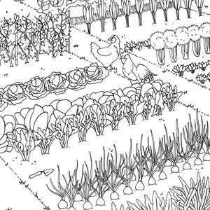 Chickens in the Garden Coloring Page, Gardening Coloring Page, Adult ...