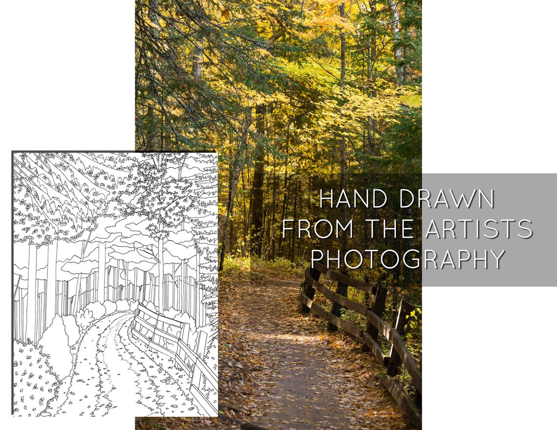 Pathway Through the Woods Adult Coloring Page, Forest Coloring Page ...