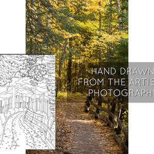 Pathway Through the Woods Adult Coloring Page, Forest Coloring Page ...