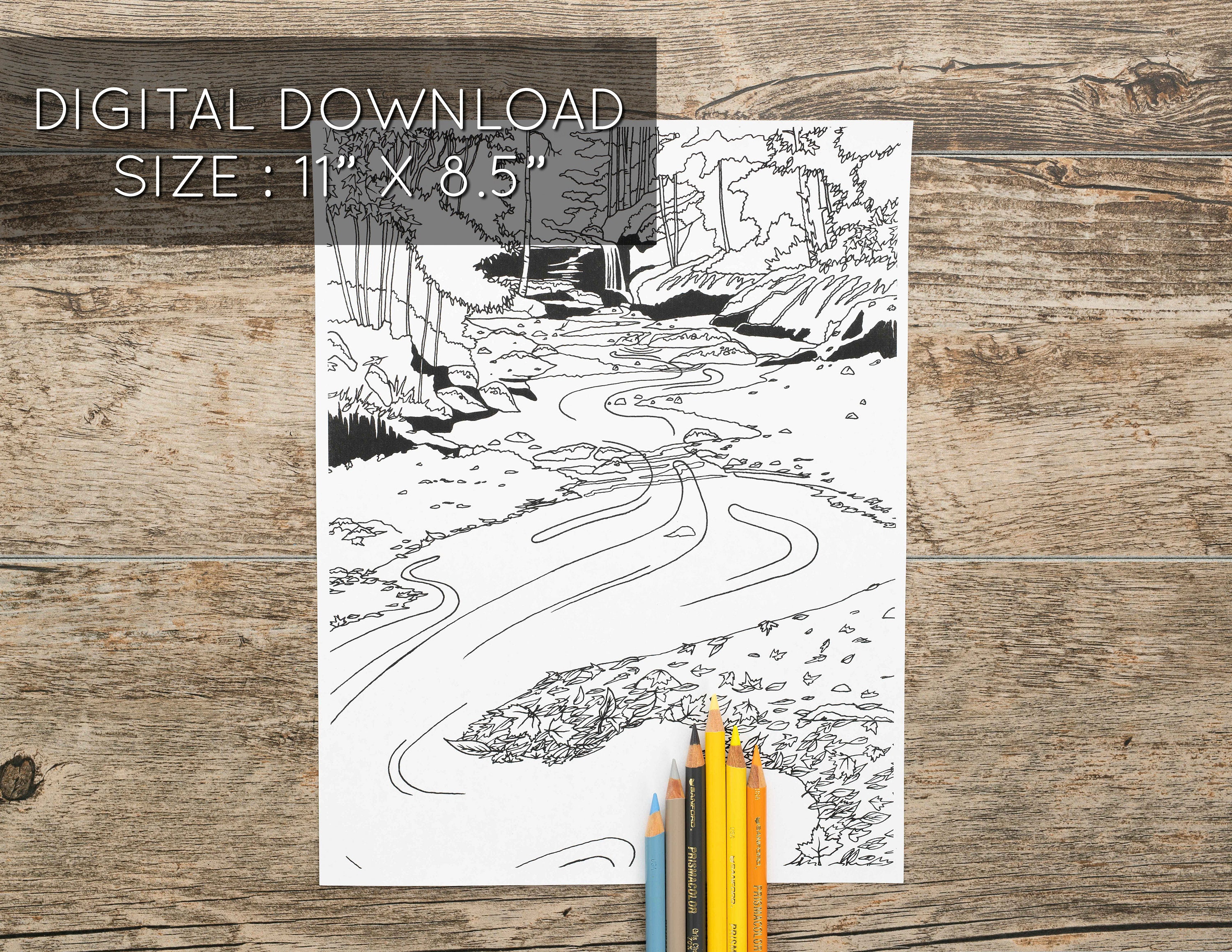 Waterfall and a Stream Wandering Through the Forest Adult Coloring Page ...