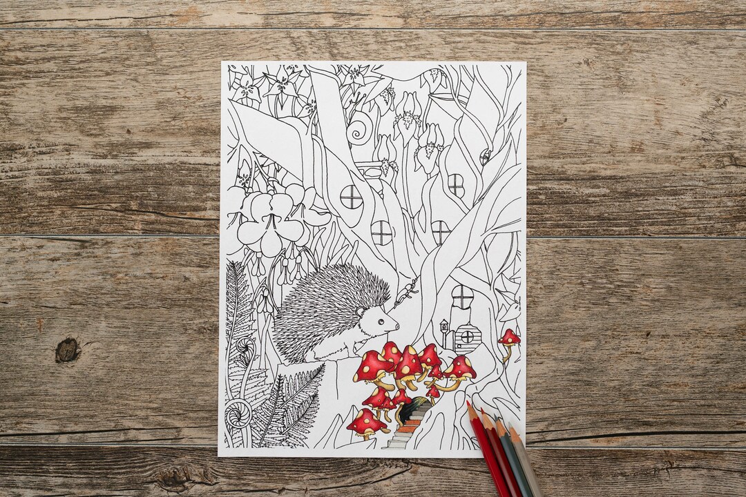 Hedgehog Nature Coloring Page, Nature Coloring Pages, Coloring Pages ...