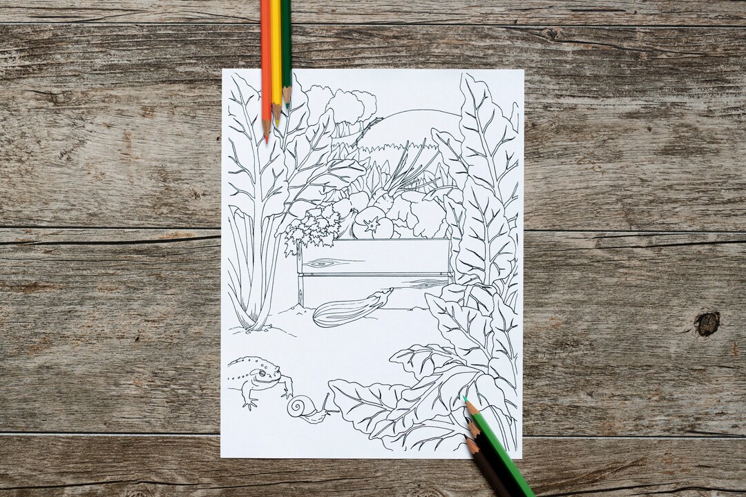 Garden Produce Box Coloring Page, Vegetable Garden Coloring Page, Toad ...