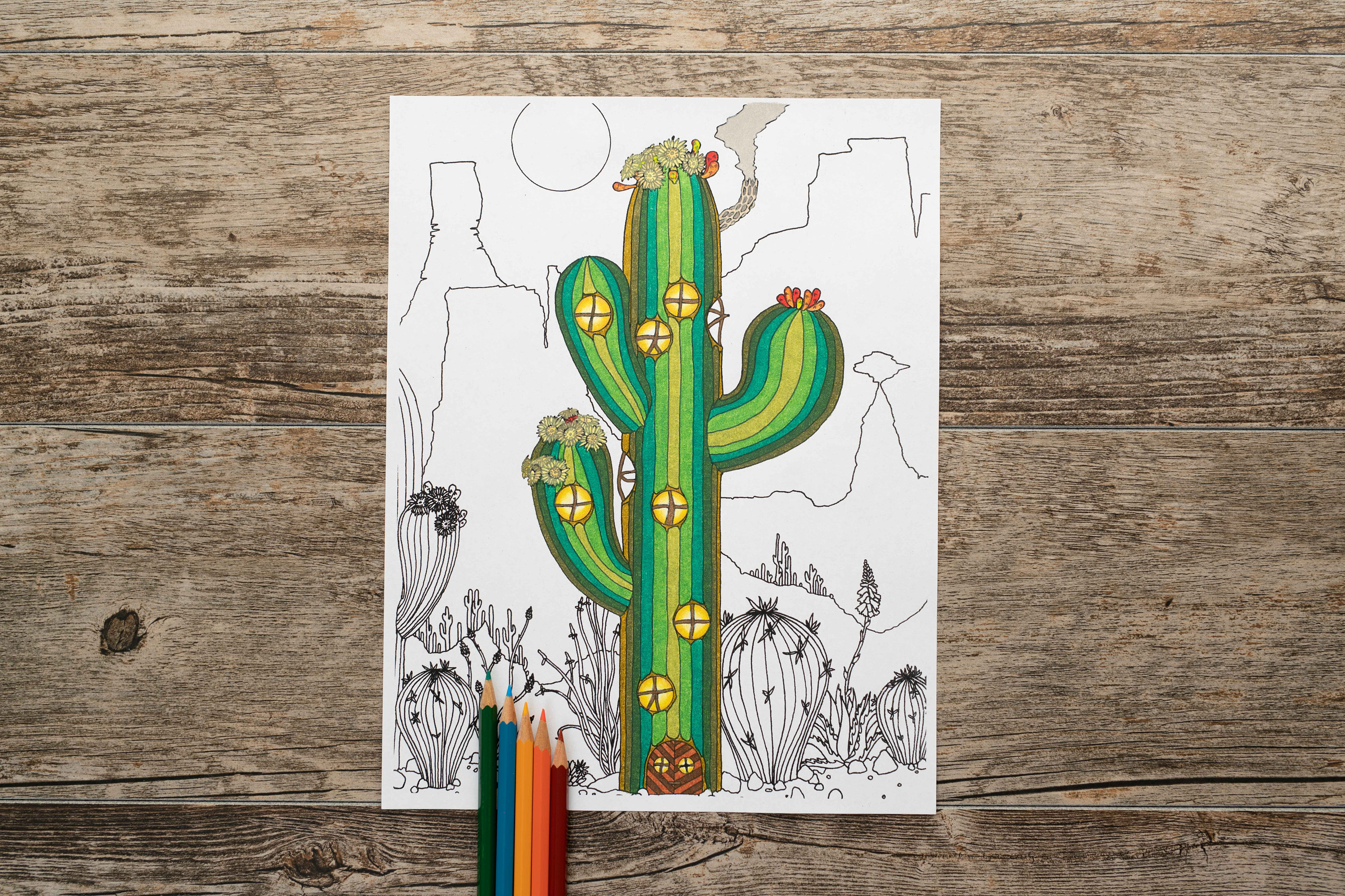 Cactus Fairy Garden Coloring Page, Desert Coloring Page, Fairy Garden ...