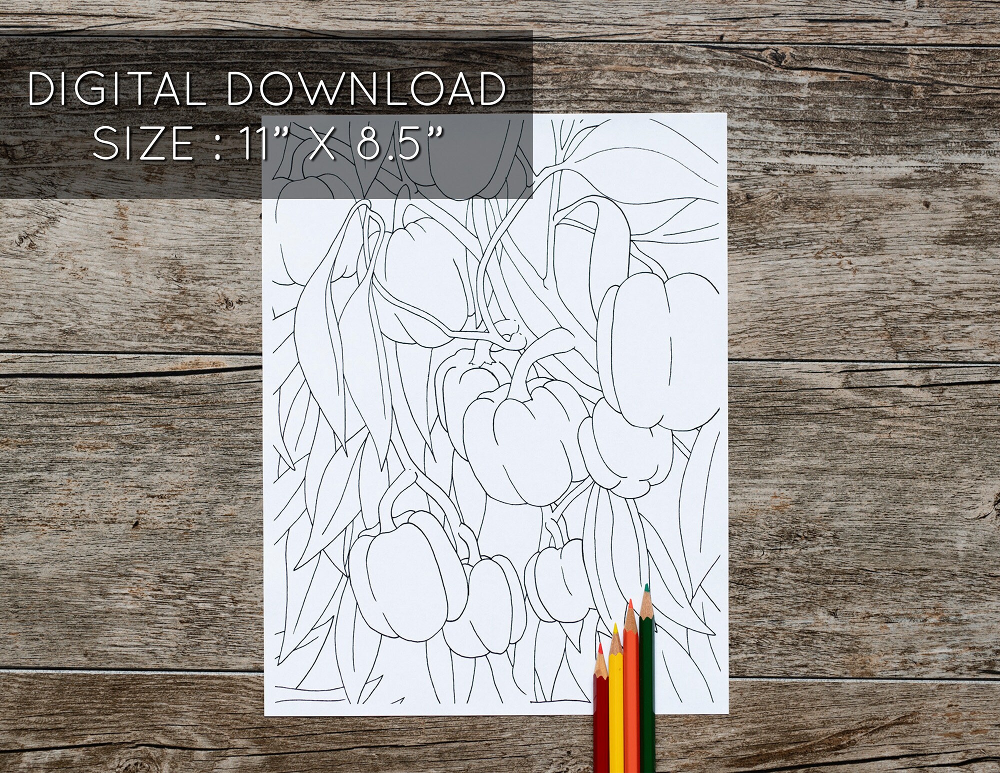 Pepper Plant Coloring Page, Peppers, Bell Peppers, Coloring Page ...