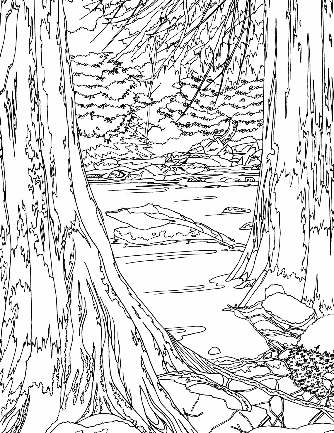 River Between Two Trees Adult Coloring Page, Adult Coloring Page ...