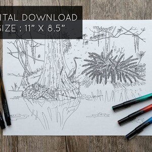 Everglades Heron, Printable Adult Coloring Page, Florida Coloring Page ...