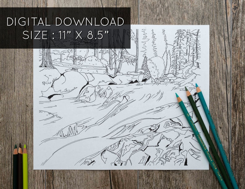 Forest River, Printable Adult Coloring Page, River Coloring Page ...