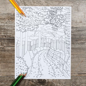 Pathway Through the Woods Adult Coloring Page, Forest Coloring Page ...