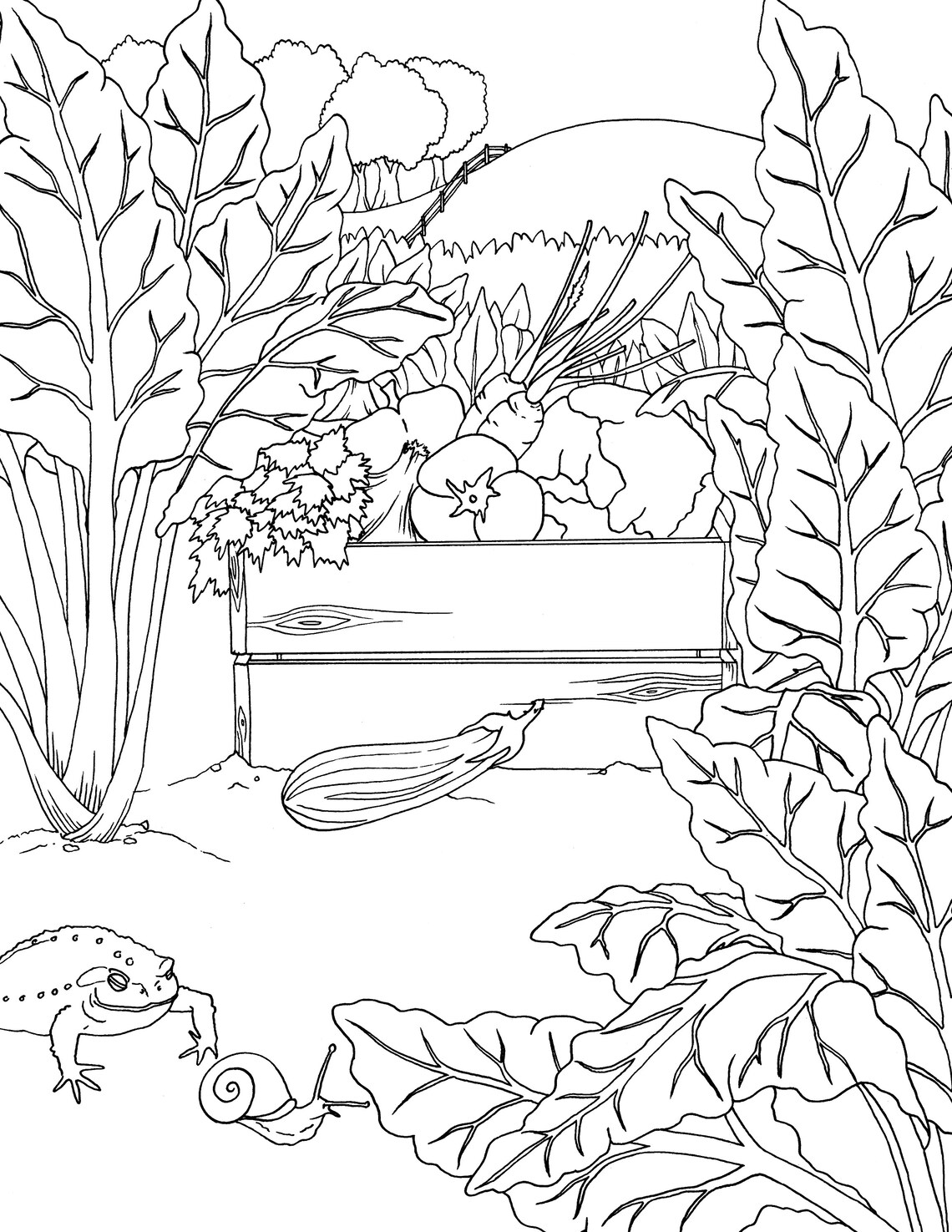 Garden Produce Box Coloring Page, Vegetable Garden Coloring Page, Toad ...