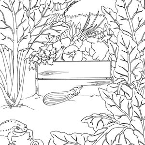 Garden Produce Box Coloring Page, Vegetable Garden Coloring Page, Toad ...