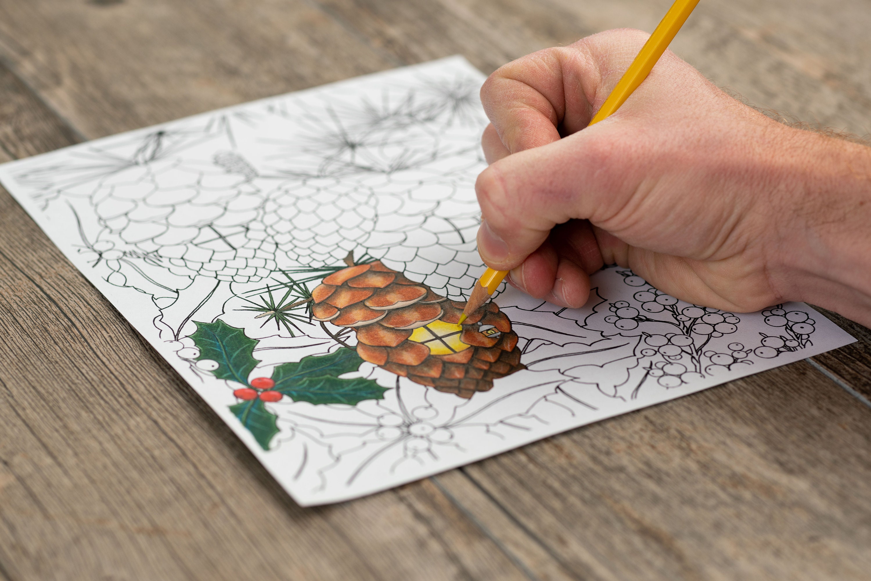 Pinecone Fairy Garden Coloring Page, Pine Cone Coloring Page, Winter ...