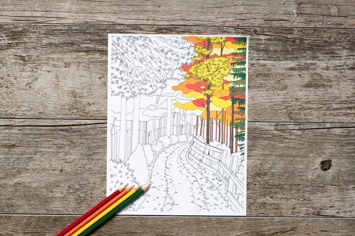 Pathway Through the Woods Adult Coloring Page, Forest Coloring Page ...