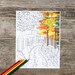 Pathway Through the Woods Adult Coloring Page, Forest Coloring Page ...