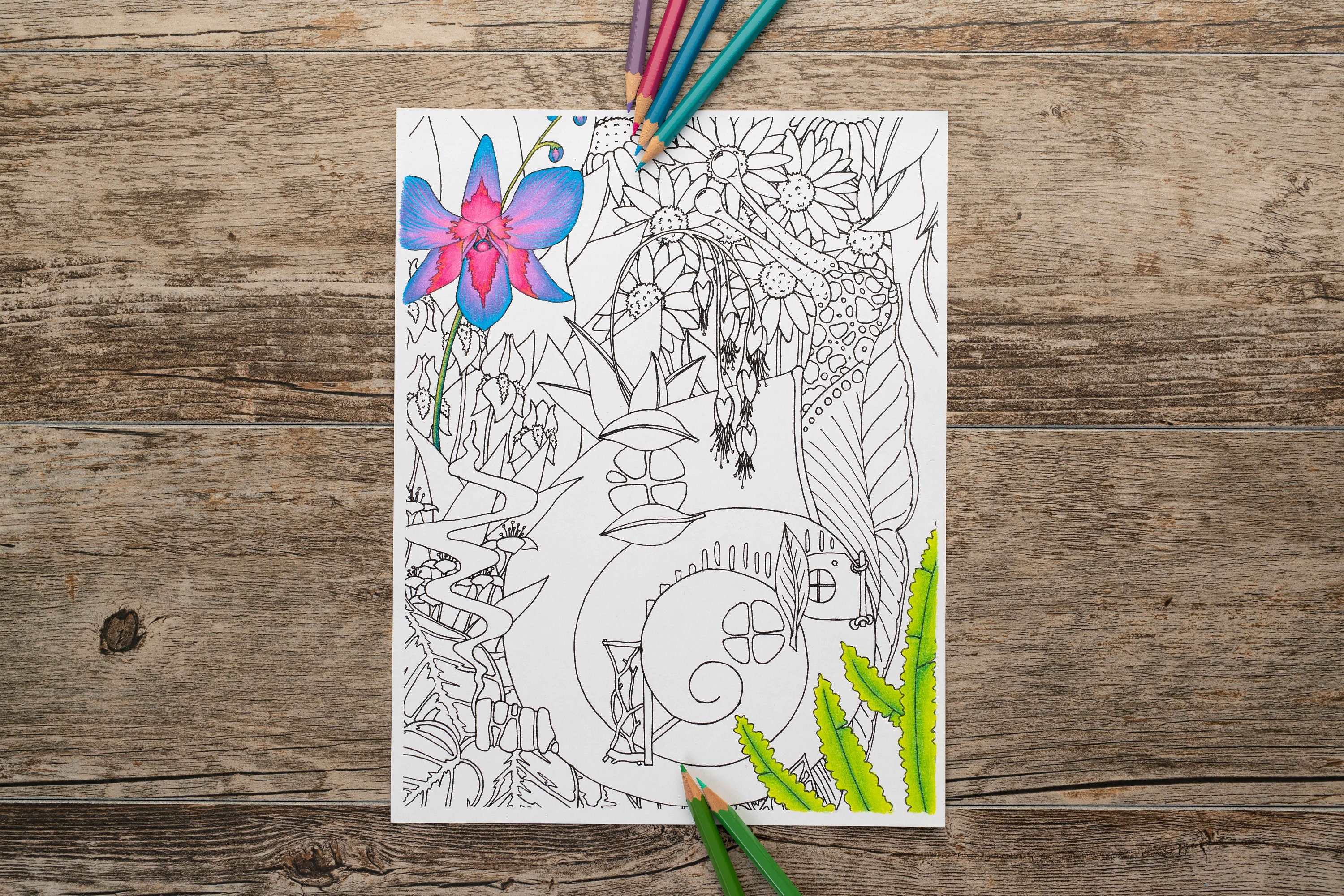 Snail Fairy Garden Coloring Page, Nature Coloring Pages, Flowers ...