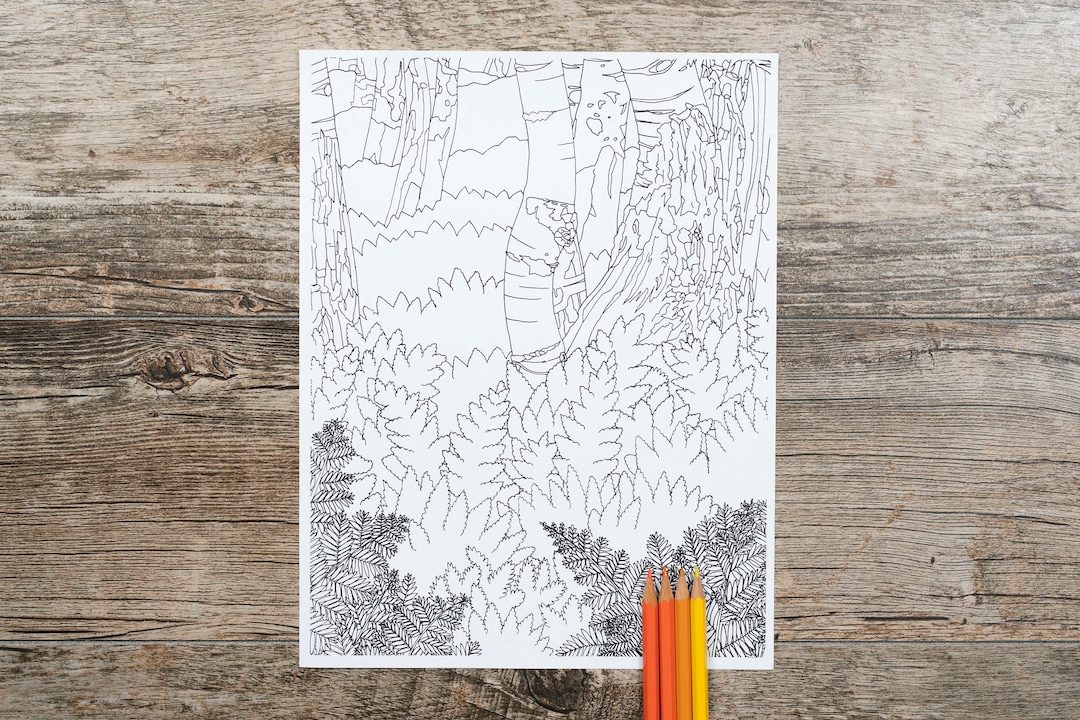 Aspen Trees and Ferns Adult Coloring Page, Colorado Coloring Pafe ...