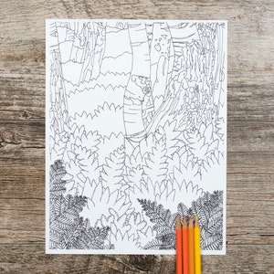 Aspen Trees and Ferns Adult Coloring Page, Colorado Coloring Pafe ...