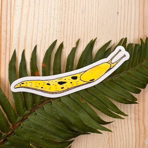 Slug Sticker - Etsy