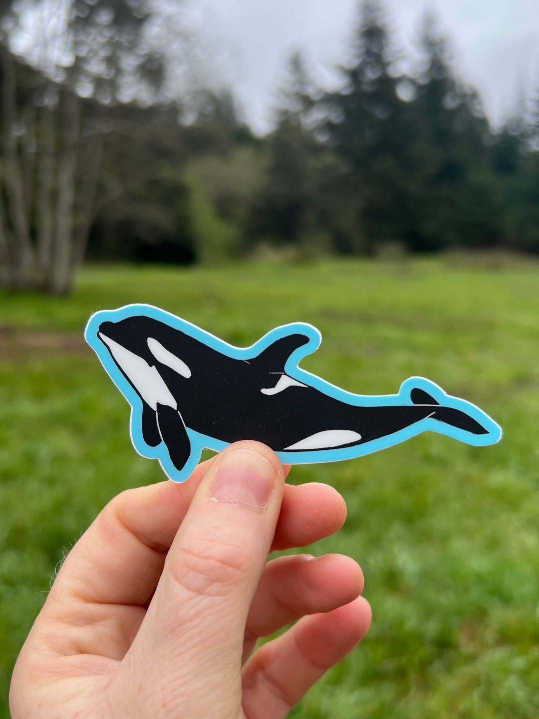 Orca Sticker, Laptop Sticker, Cute, Water Bottle Sticker, Aesthetic ...