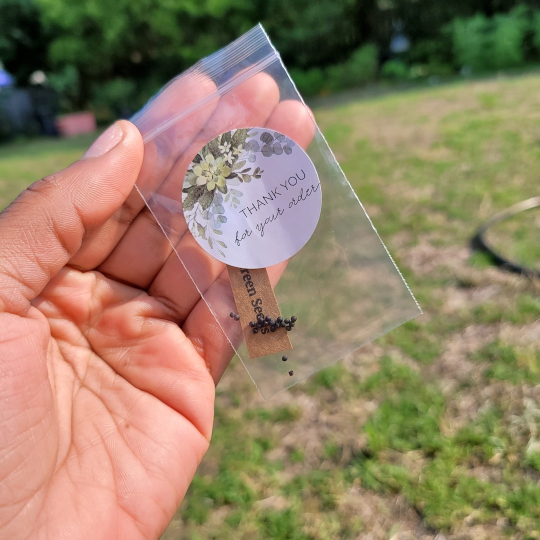 Organic Collard Green Plant Seeds, Vegetable Seeds, Fresh Collard Green ...