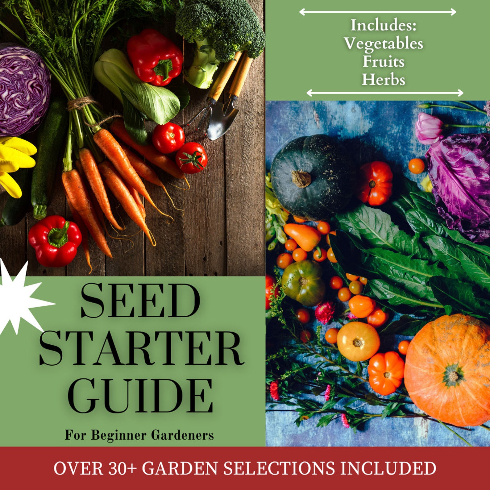 Printable Seeds Starter Guide for Vegetable Seeds, Herbs, Fruit Seeds ...