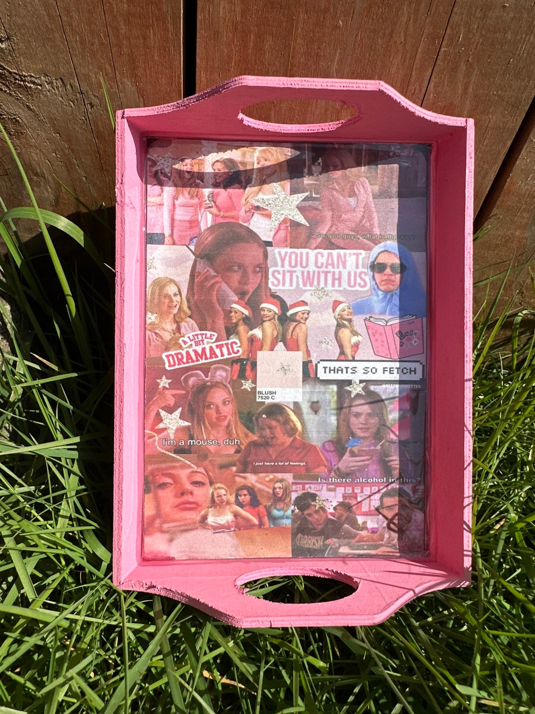 Mean Girls Rolling Tray - Etsy
