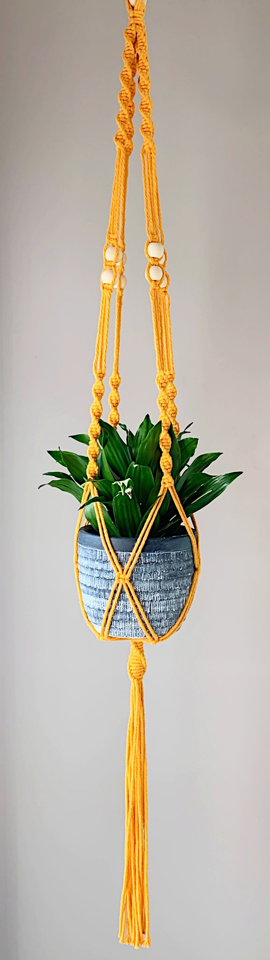 The Jane Hanging Macrame Plant Holder - Etsy