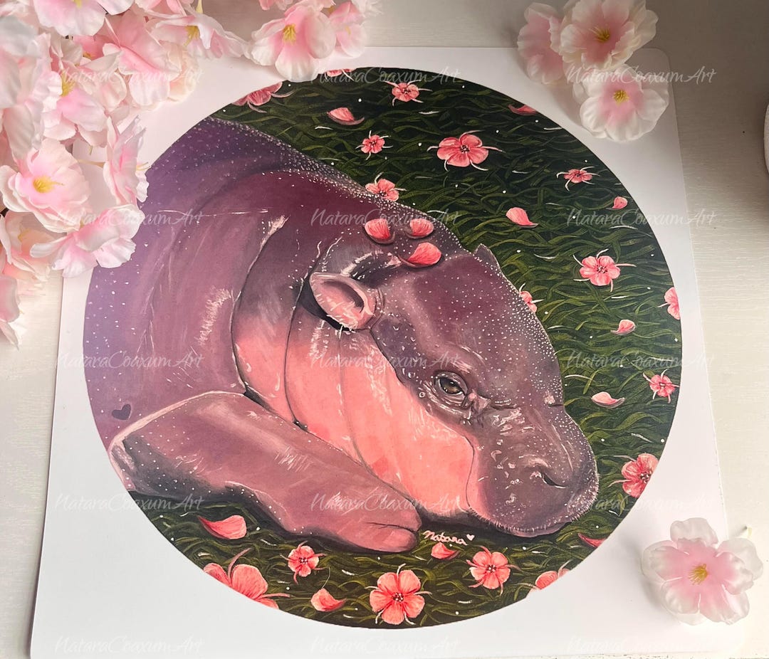 Moo Deng Pygmy Hippo Art Print - Etsy