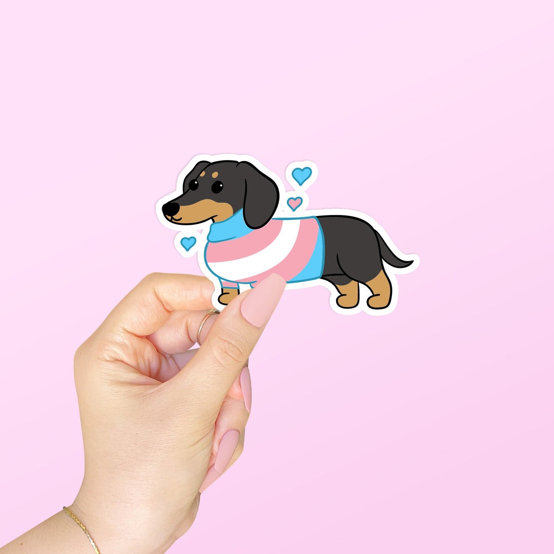 Trans Flag Dachshund, Trans Power Sticker LGBTQ Sticker, Trans Flag ...