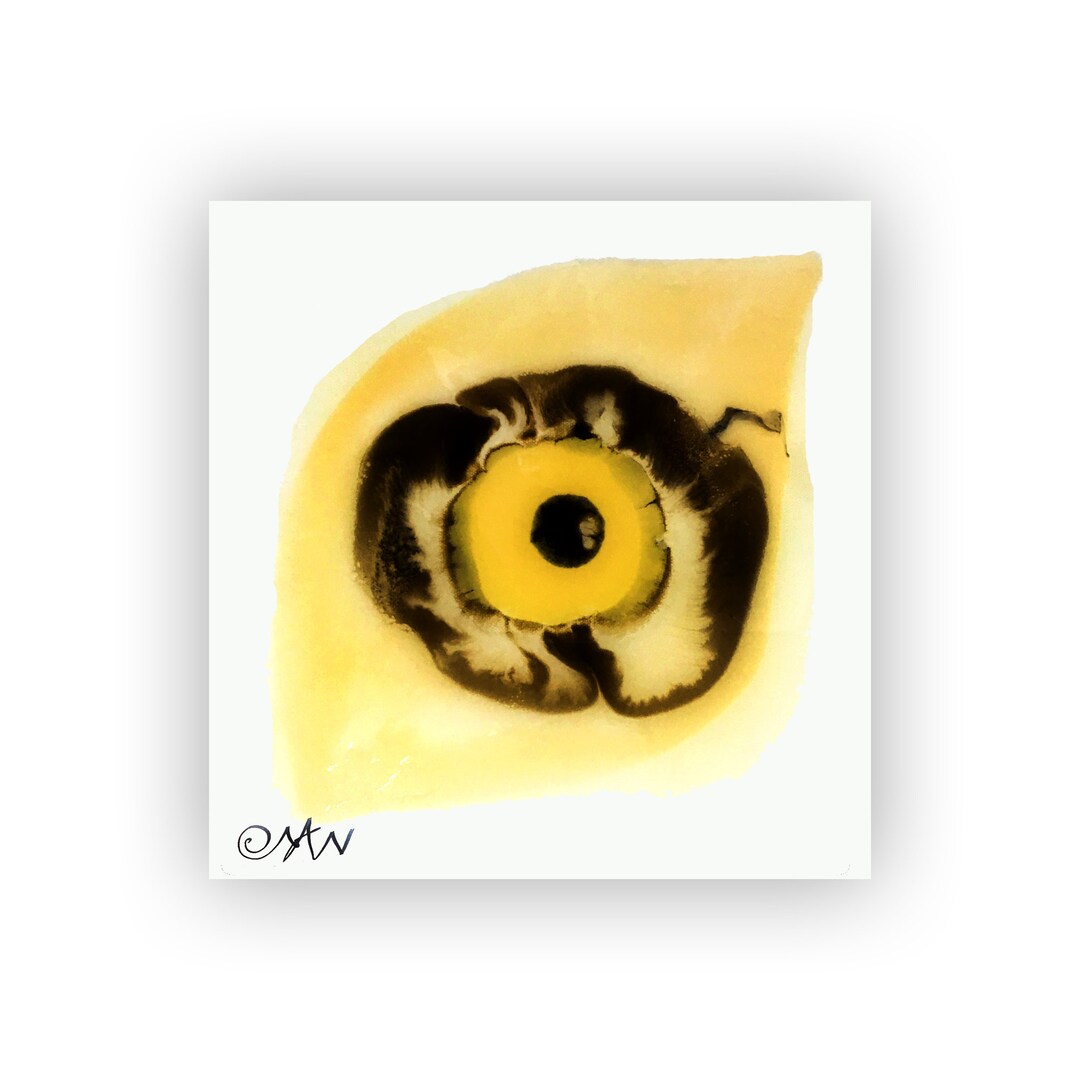 THIRD EYE Collection MAYATEPPERART 12in X 12in Resin Art - Etsy