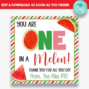 EDITABLE You Are One in a Melon Square Gift Tags Watermelon ...