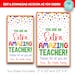 EDITABLE You're an Extra Amazing Teacher Appreciation Treat Tags ...