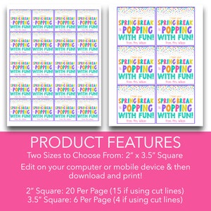 EDITABLE Pastel I Hope Your Spring Break is Popping With Fun Treat Bag ...