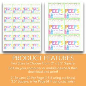 EDITABLE We Have the Best Peeps on Our Team Easter Appreciation Favor ...