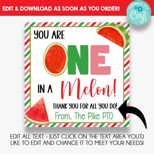 EDITABLE You Are One in a Melon Square Gift Tags | Watermelon ...