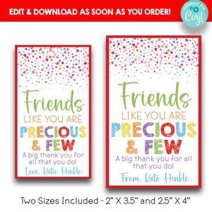 EDITABLE Friends Like You Are Precious and Few Appreciation Gift Tags ...