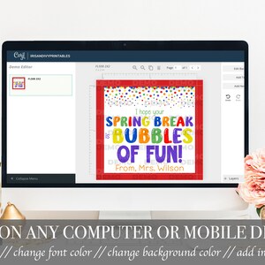 EDITABLE I Hope Your Spring Break is Bubbles of Fun Square Treat Bag ...