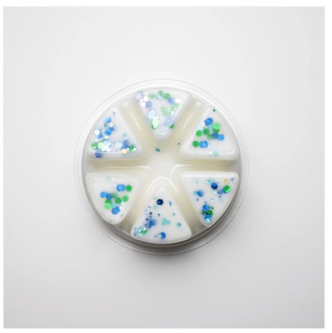 6 Segment Deli Pot pack of 25unit - Etsy