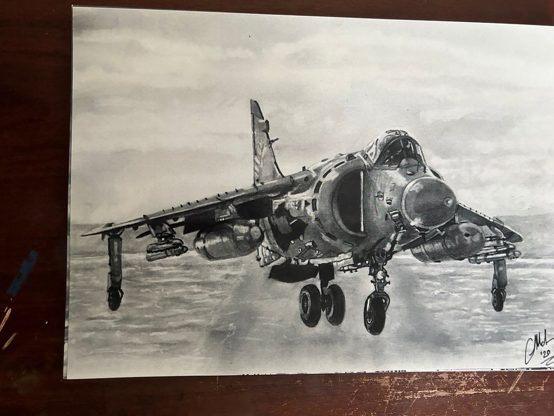 A4 Limited Edition Print Pencil Drawing of a Harrier - Etsy