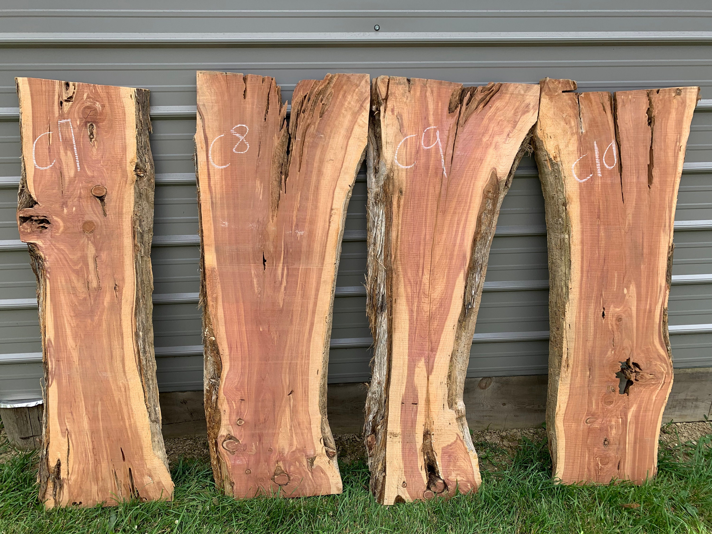 Eastern Red Cedar Slabs/ Live Edge Slabs - Etsy