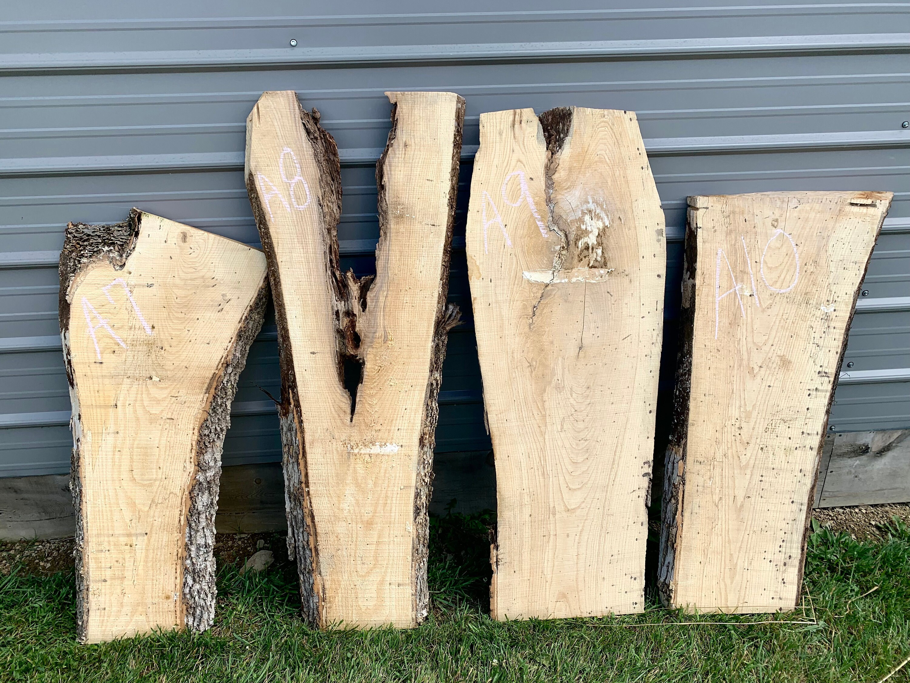 White Ash Slabs/ Live Edge Slabs/ Live Edge - Etsy