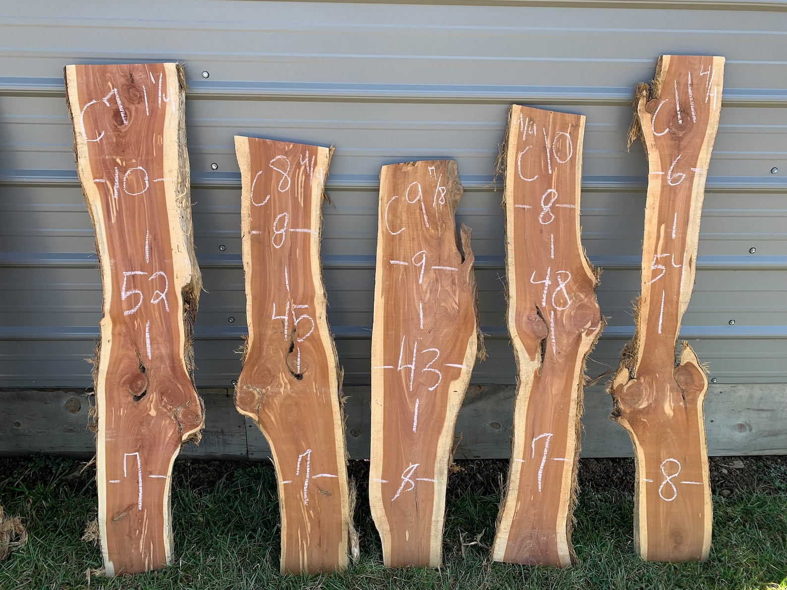 Eastern Red Cedar Slabs/ Live Edge Slabs - Etsy