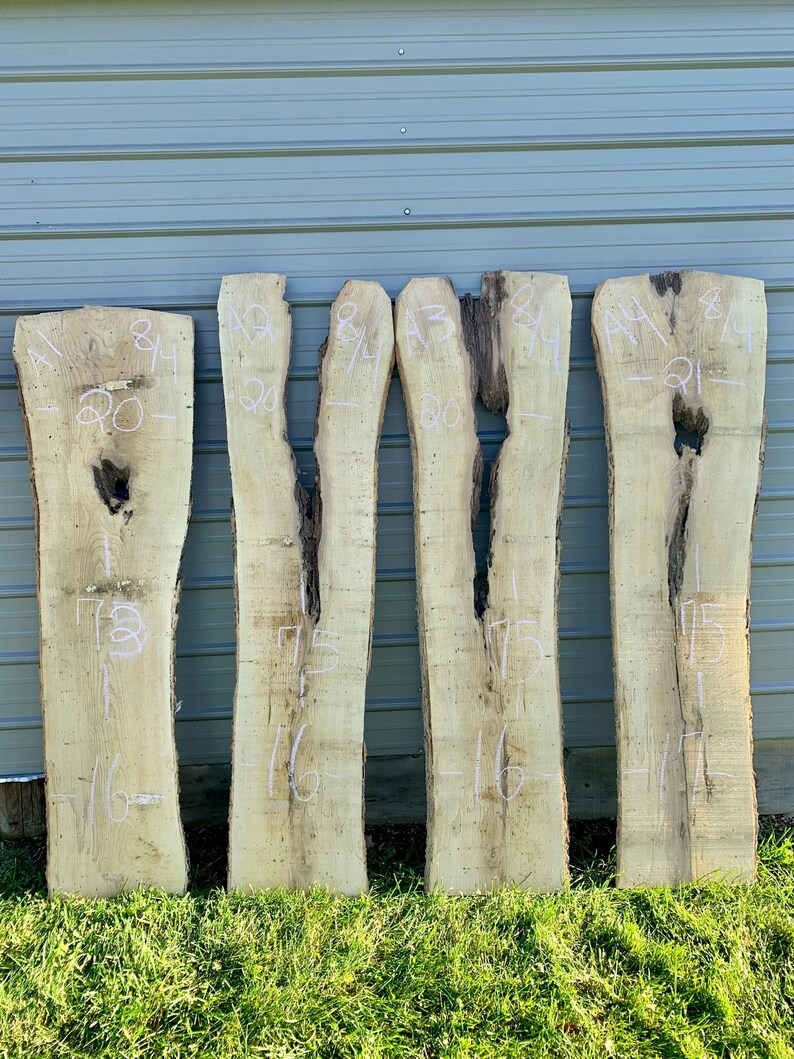 White Ash Slabs/ Live Edge Slabs/ Live Edge - Etsy