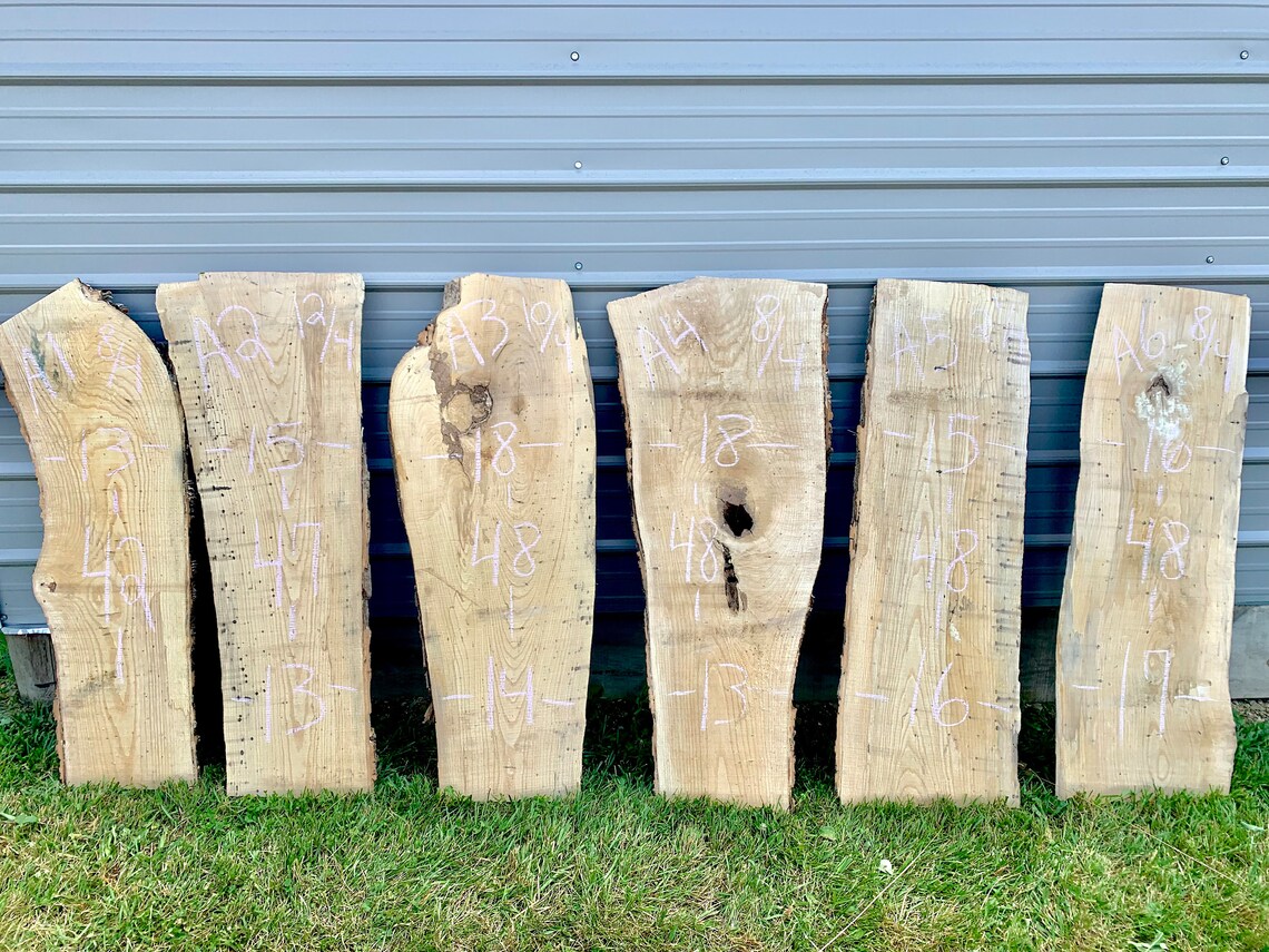 White Ash Slabs/ Live Edge Slabs/ Live Edge - Etsy