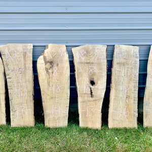 White Ash Slabs/ Live Edge Slabs/ Live Edge - Etsy