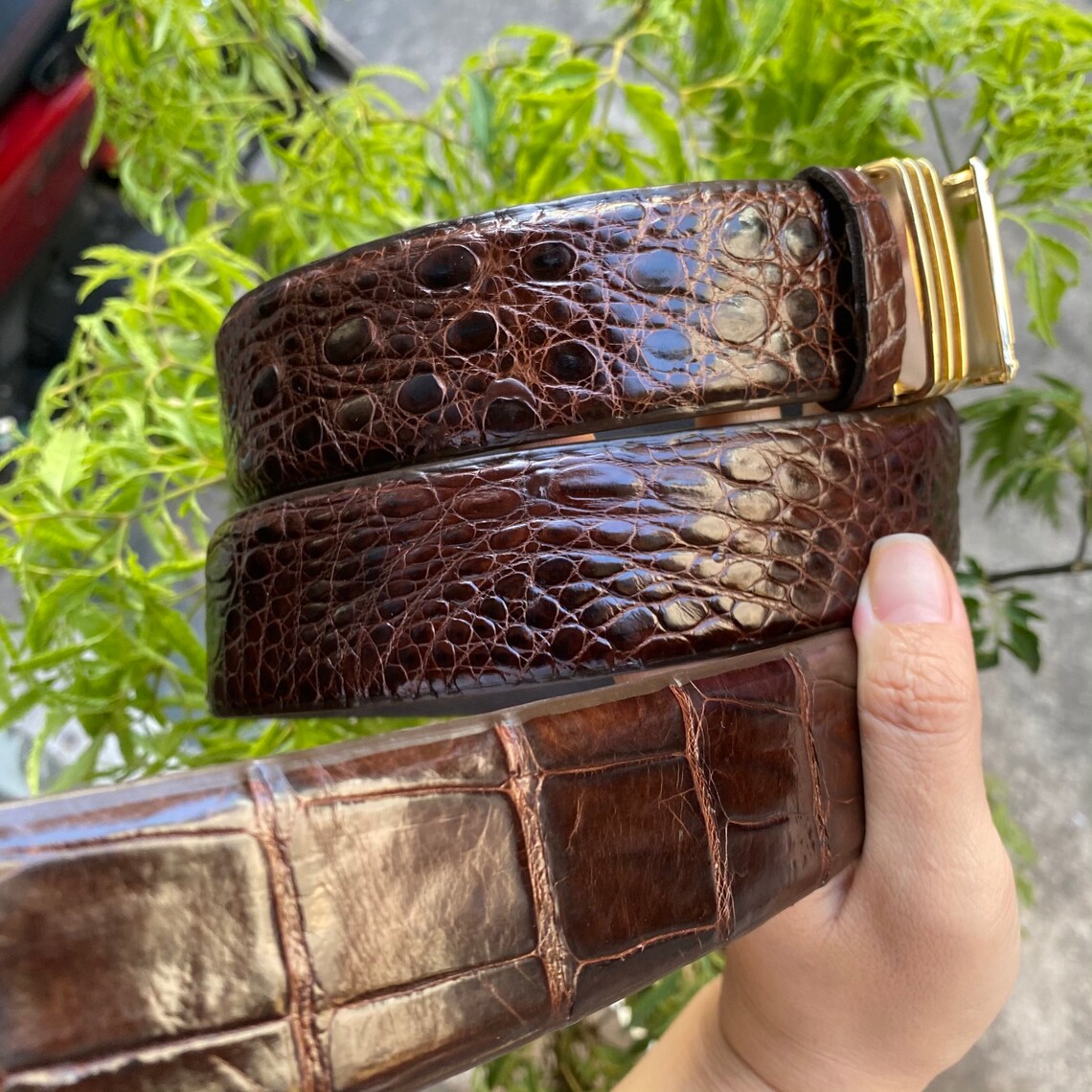 Brown Crocodile Alligator Leather Belt for Men Mens handmade | Etsy
