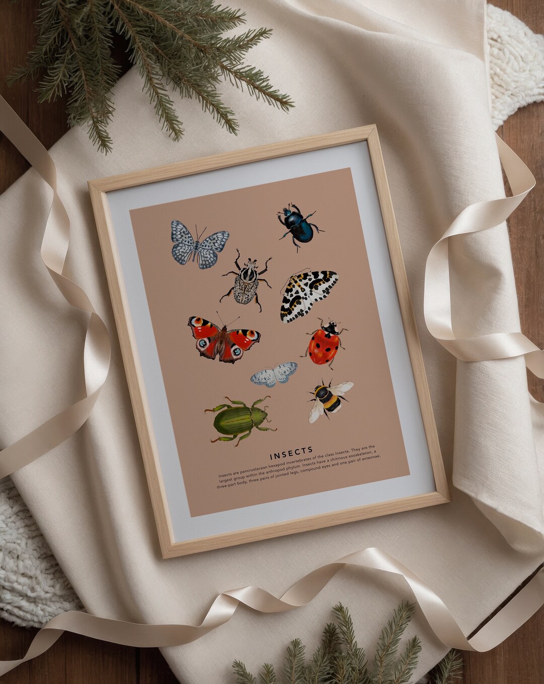 Insects, Insect Art Print, Vintage Insect Print, Insect Gallery Art ...