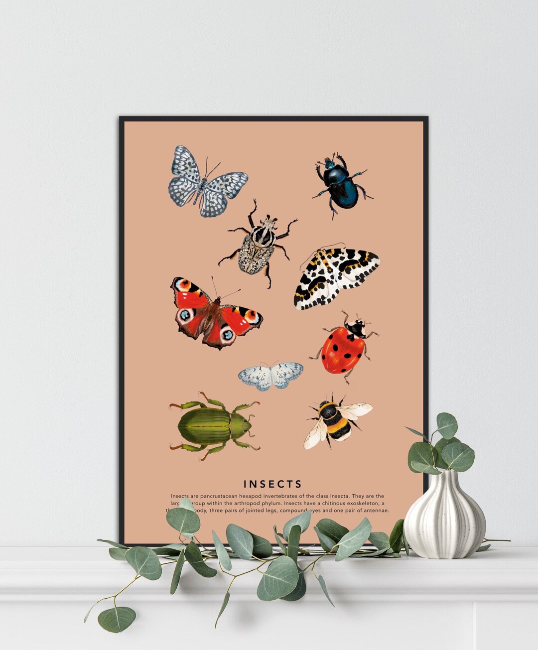 Insects, Insect Art Print, Vintage Insect Print, Insect Gallery Art ...