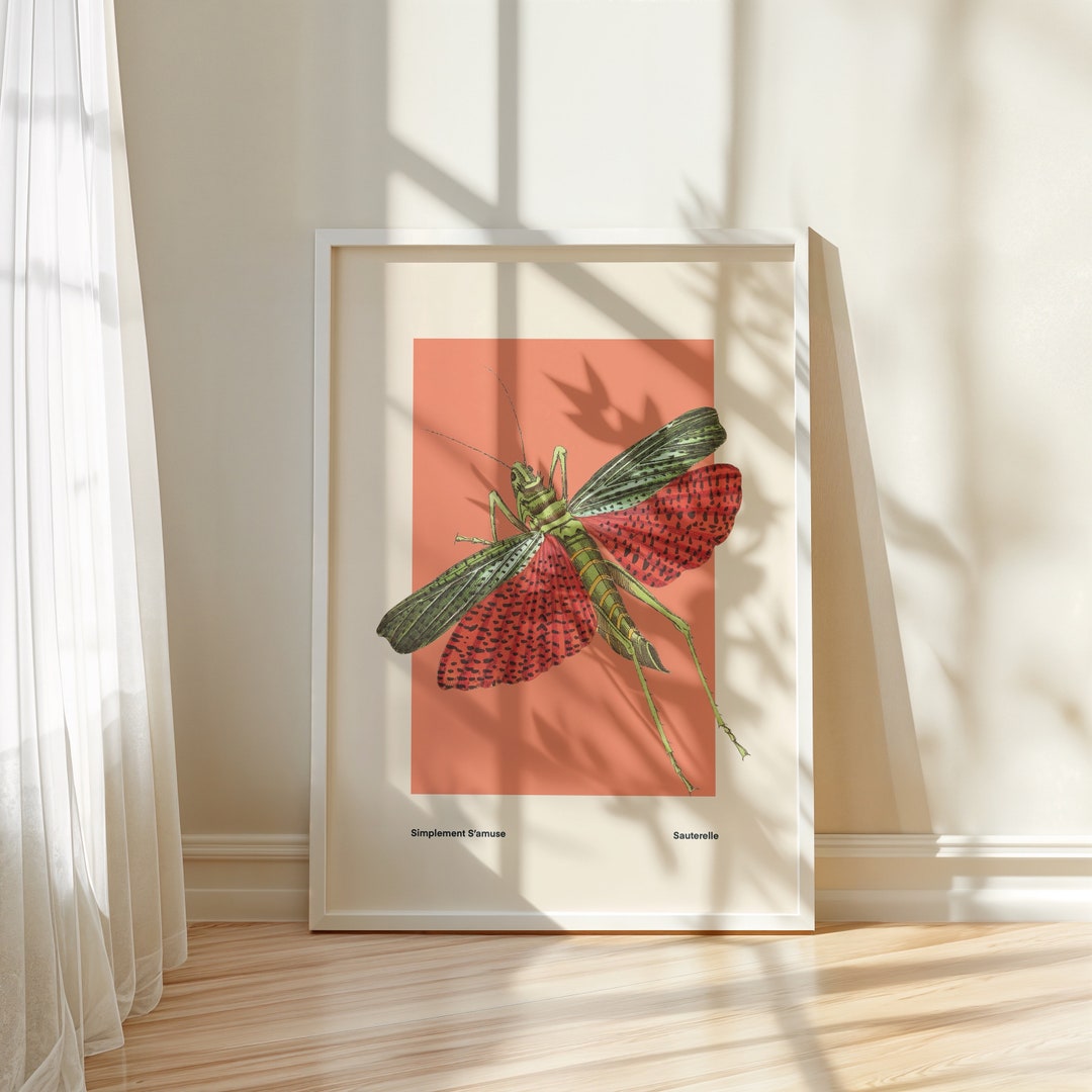 Vintage French Grasshopper Print: Warm Colors, Boho Gallery Wall Art - Etsy